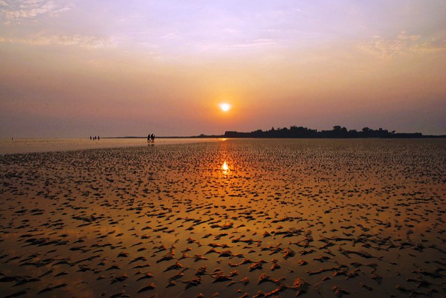 Beaches Near Pune (Within 100-200 Kms) Which Makes Your Weekend Special